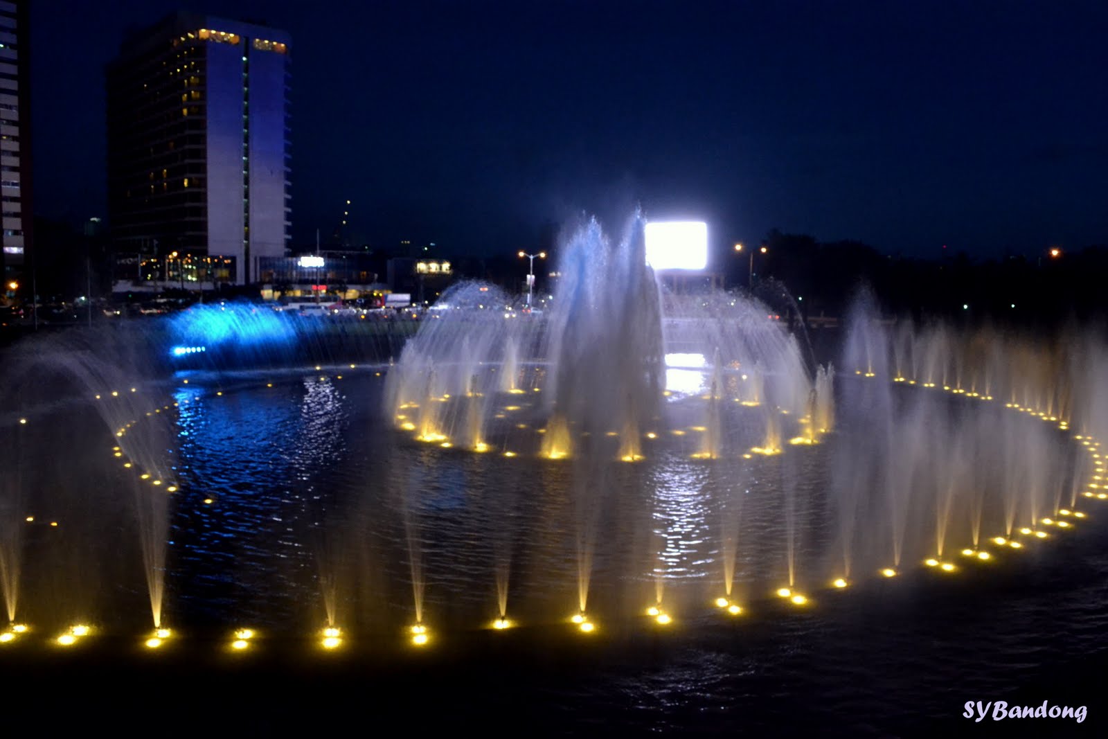 Idle Mind: Nikon D3100 Sample Shots