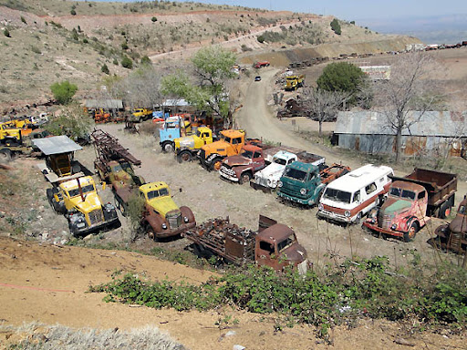 Reflections From the Fence: THE Trip, Strange Things We See Along The ...