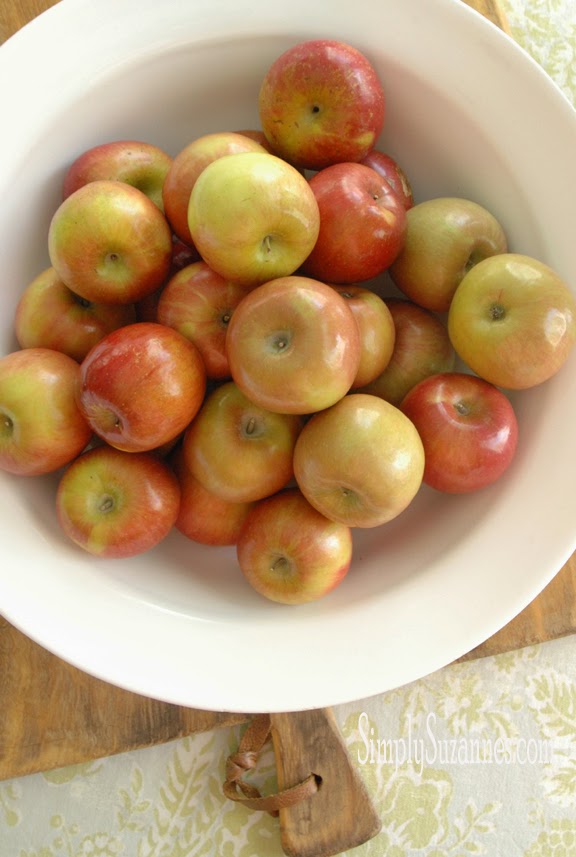 Simply Suzanne's AT HOME: early September