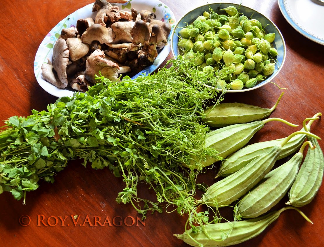 exotic food recipes & other gastronomic delights: straw mushrooms soup ...