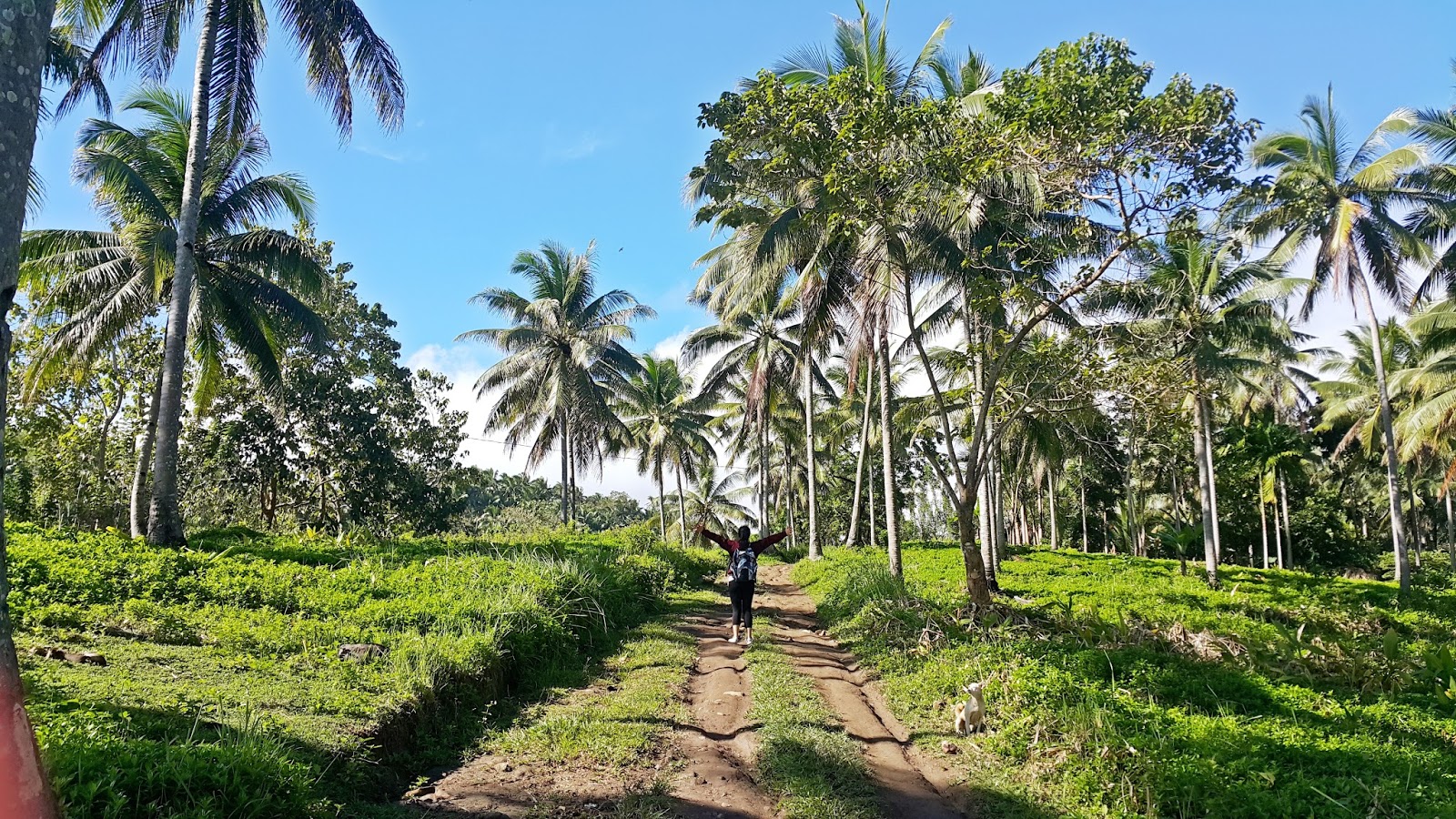 ohmygoggles: Puncak Tanawan: overseeing the city