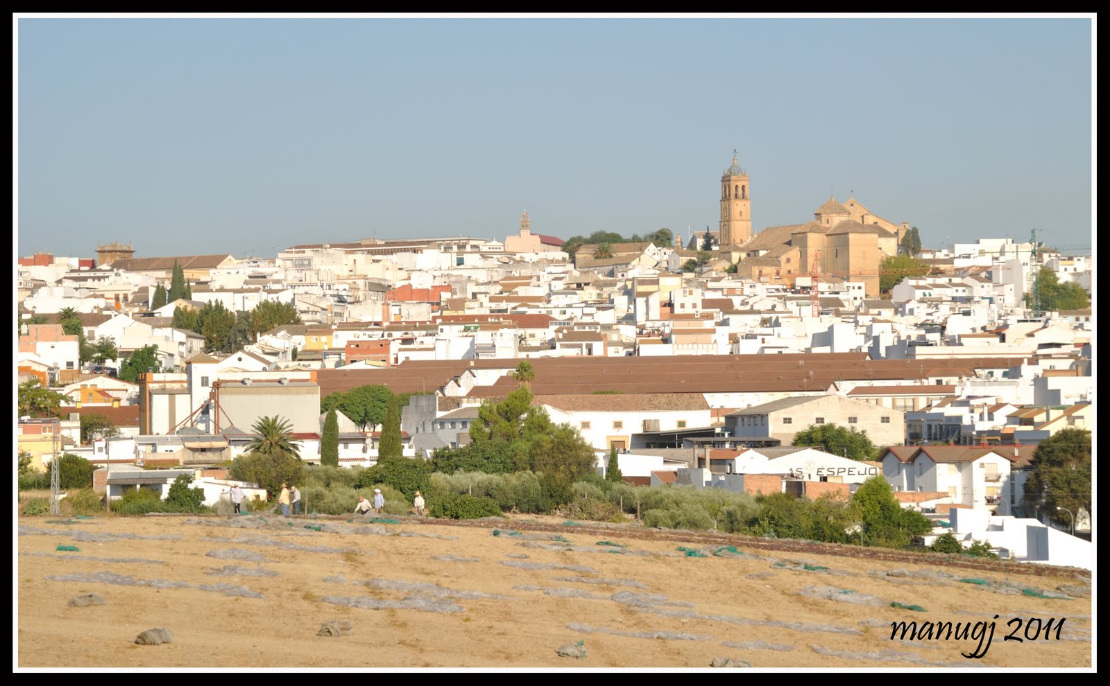 Fotografía Digital: Montilla, panorámica y pasera.