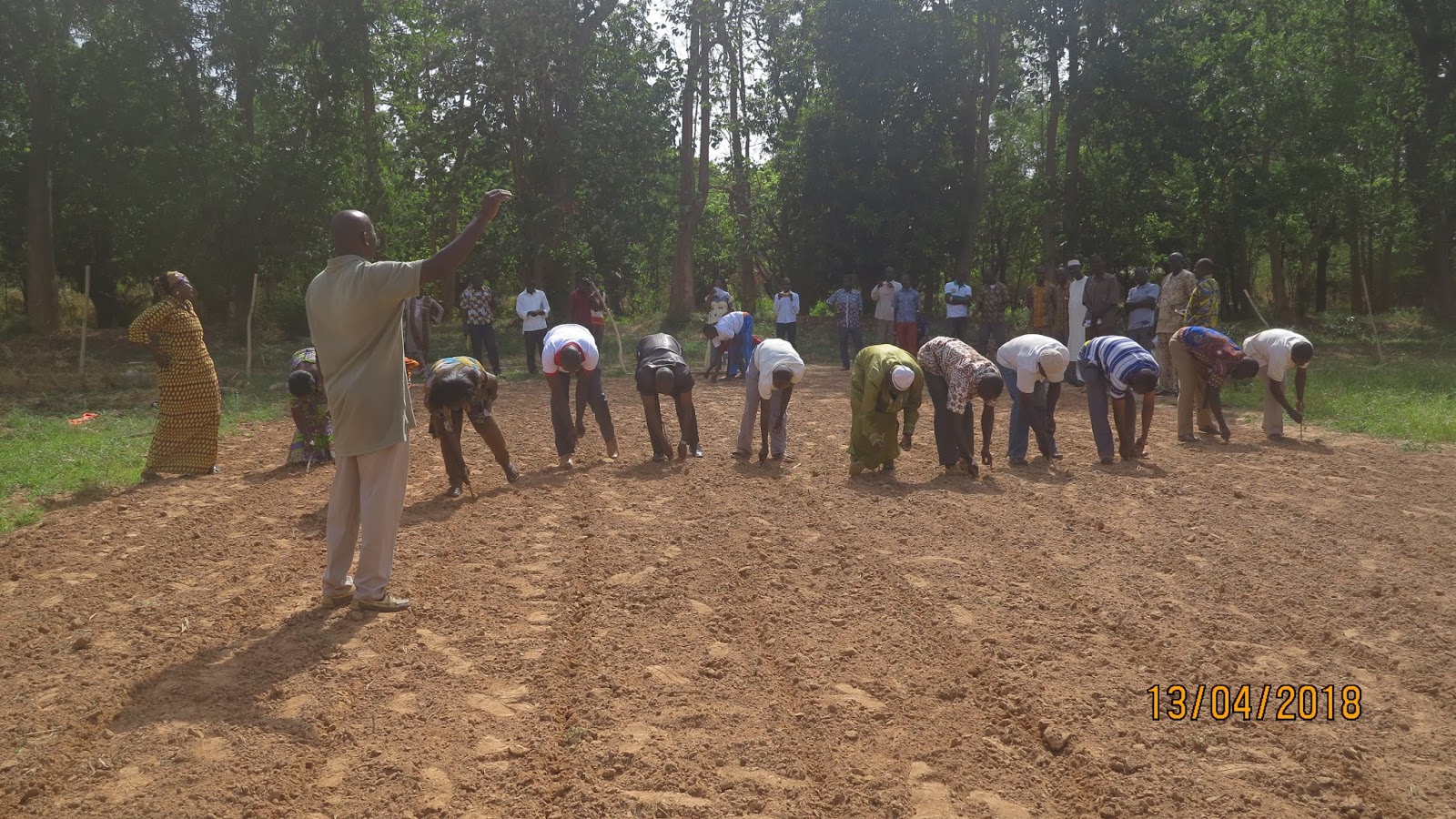 3ème SESSION DE FORMATION A L’INERA/OUEST : LA SEMENCE DE NIEBE A L ...
