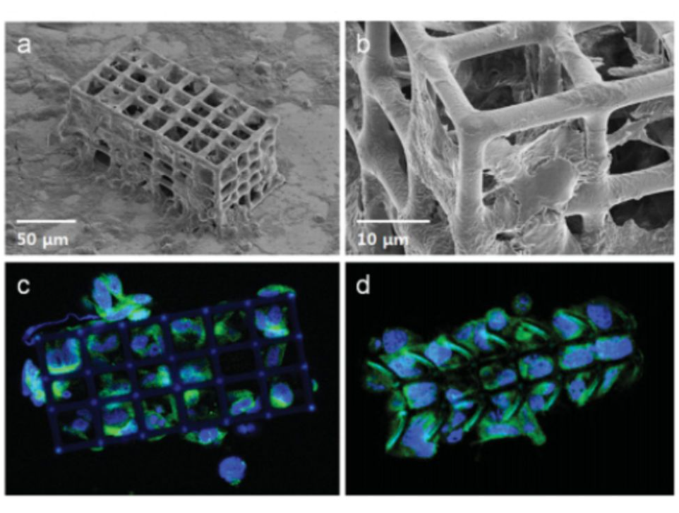 These Magnetic Nanobots Could Carry Drugs Into Your Brain