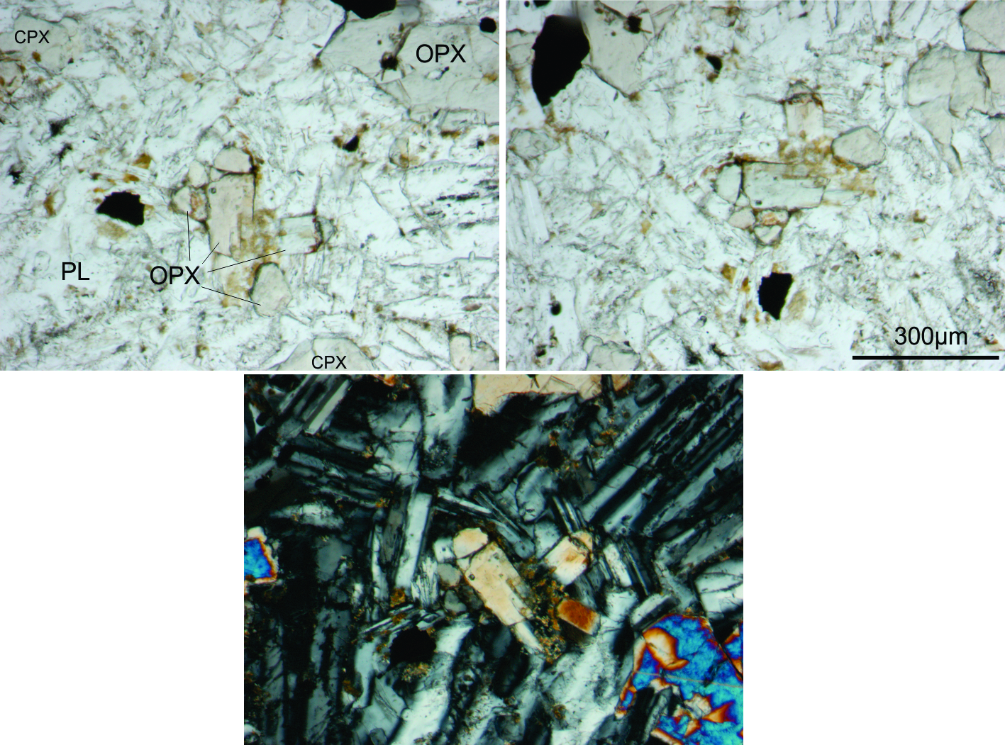 Enstatite Thin Section