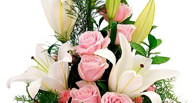 Toko Bunga Jakarta | Florist Online Flowers Shop Indonesia