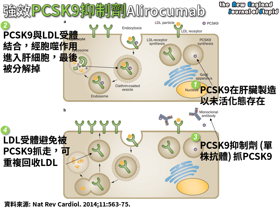 [臨床藥學] 強效PCSK9抑制劑 Alirocumab (PCSK9 Inhibitor: Alirocumab) - NEJS