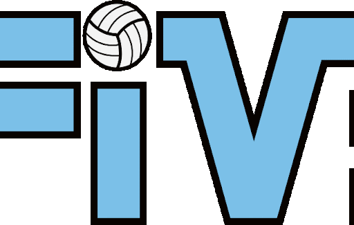 EL MUNDO DEL VOLEIBOL