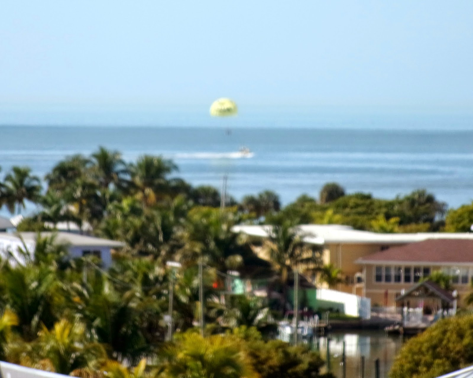 Leaps and Bounders: Darn Near Perfect Day on the Beach