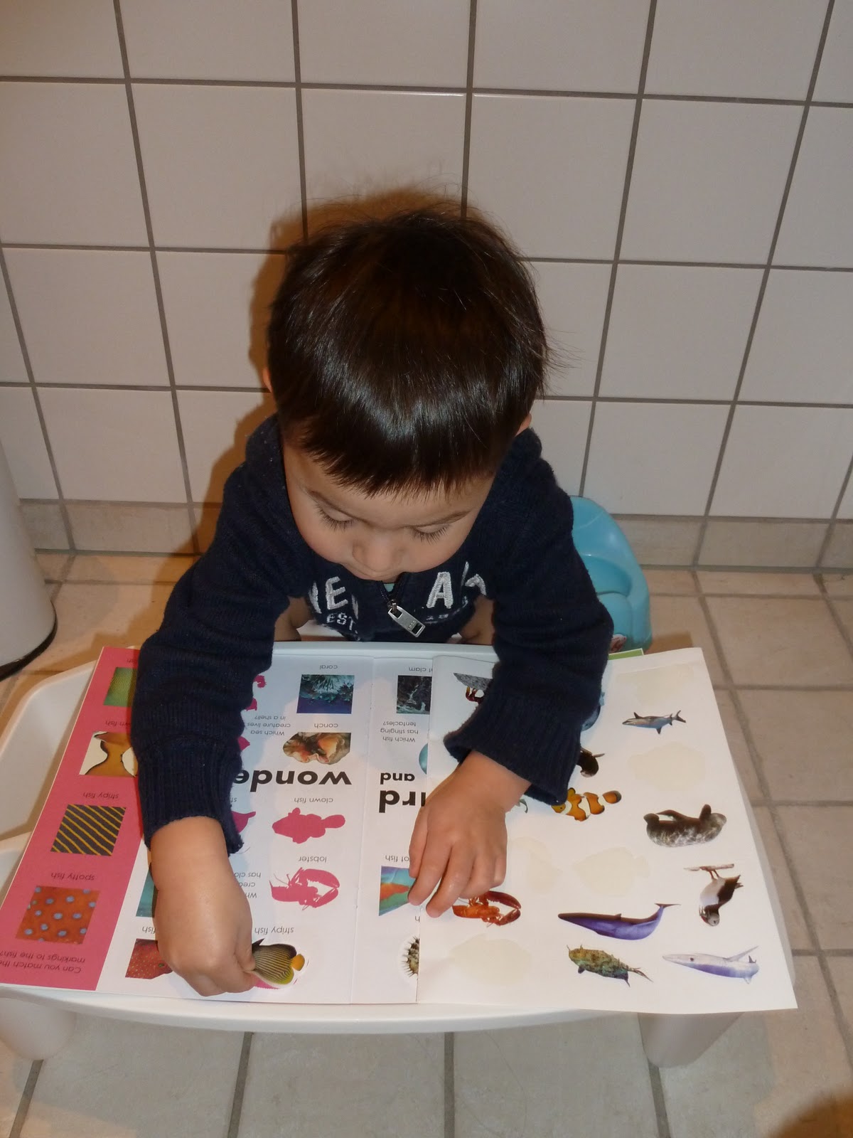 Family FECS: Montessori Activity: Pasting Stickers