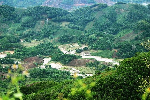 Vi vu qua đèo Violăk