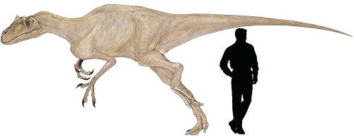 Los animales en la prehistoria: mayo 2013