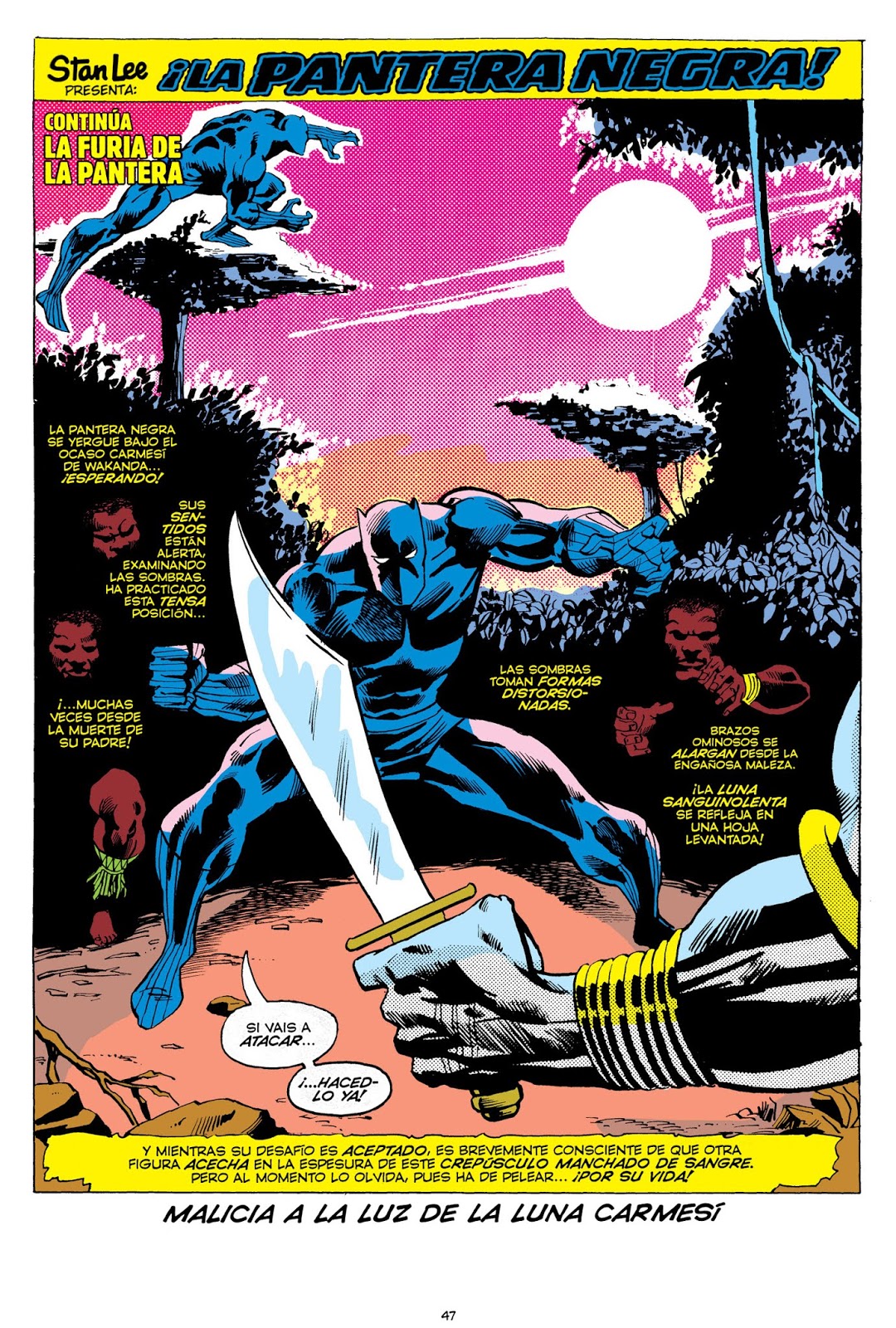 Galicia Comic: Marvel Gold: Pantera Negra 1 - La furia de la Pantera