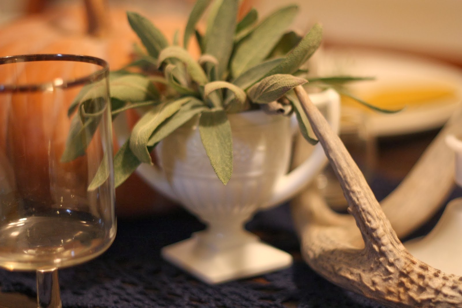 honeysuckle: Mini Rosemary Wreaths