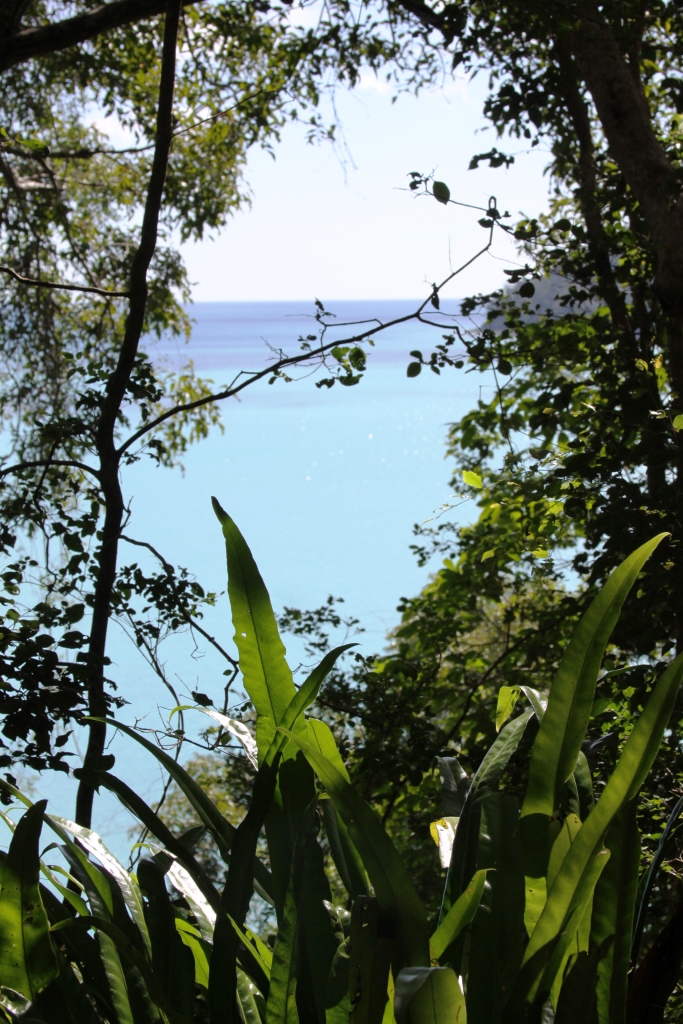 Dreamtime Sail: Cid Harbour – Our Whitsunday Islands Haven
