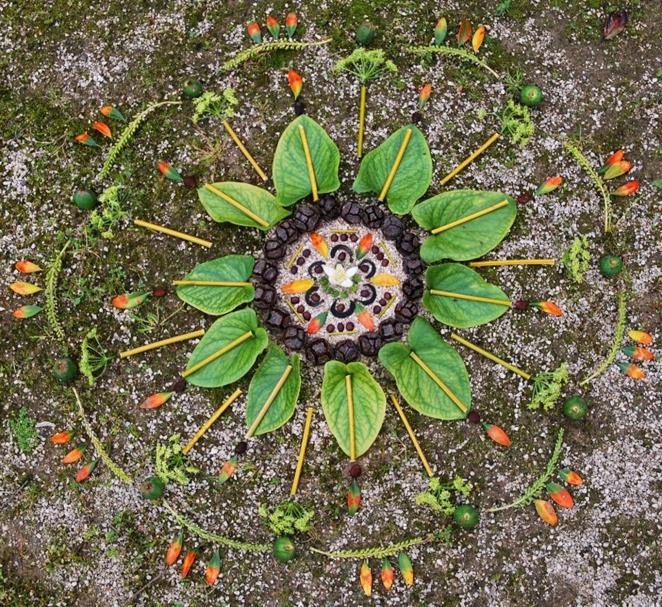 MANDALAS Y AUTOCONOCIMIENTO: Mandalas Naturales