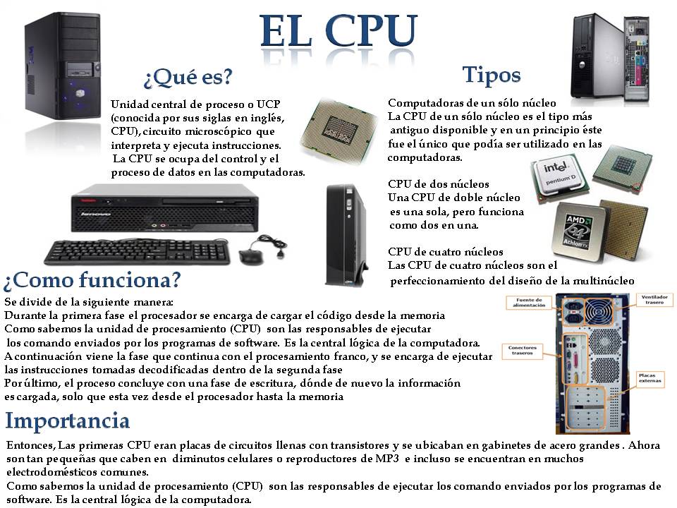 tecnologia : Infografìa del CPU