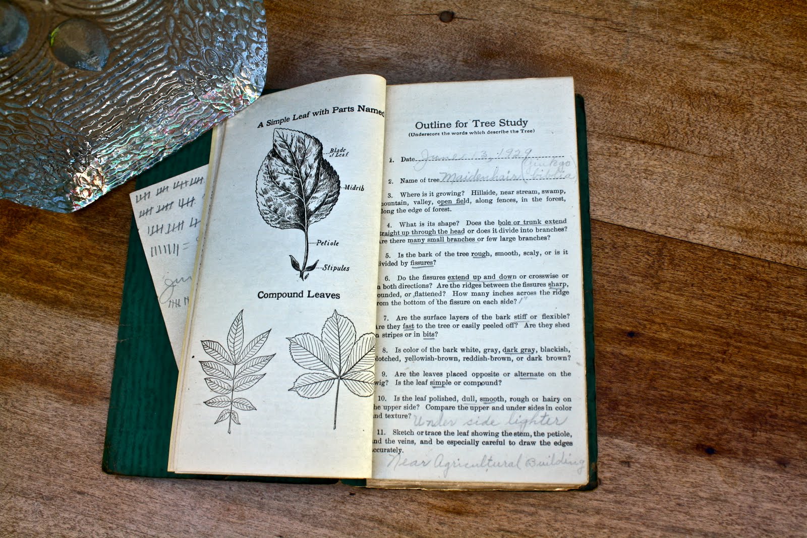 NowSoLA: Thrift Share - The Notebook