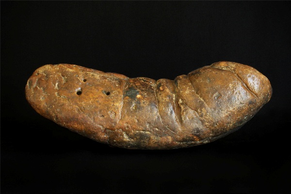 Encyclopédie du Rien: matière fécale