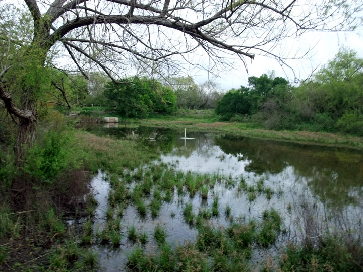 Gypsies At Heart: Resaca de la Palma State Park, Brownsville, Texas