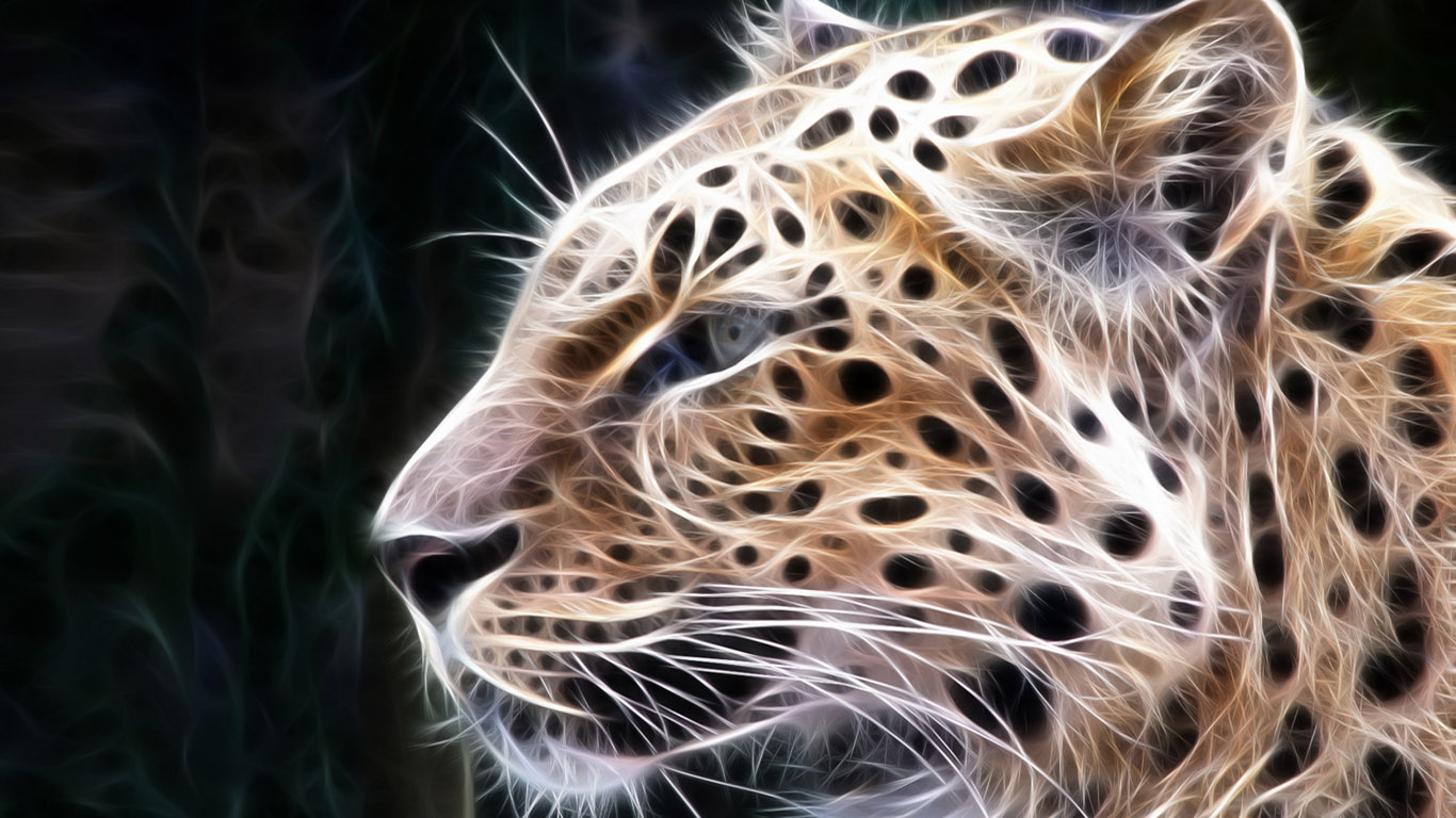 Wallpaper background binatang - Kumpulan Wallpaper Gratis, Lucu dan Keren