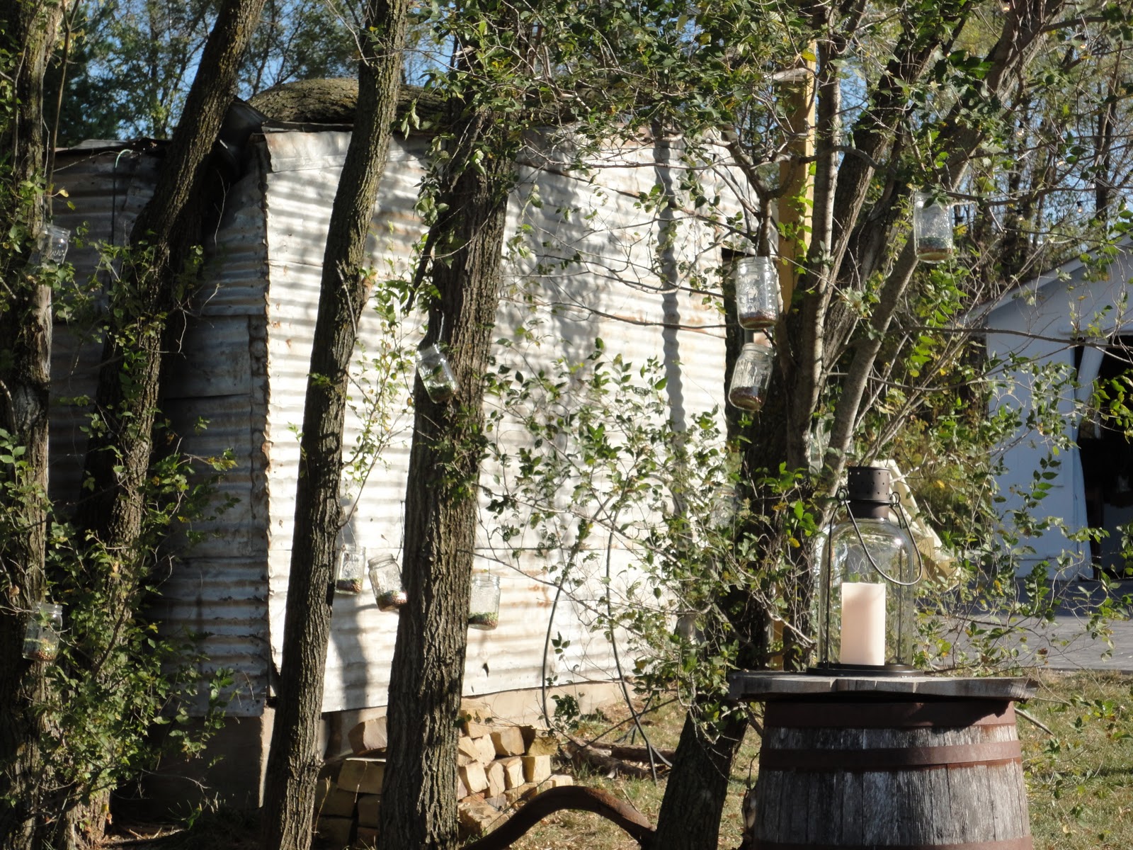 Fresh Air Farm..... where love is in the air!