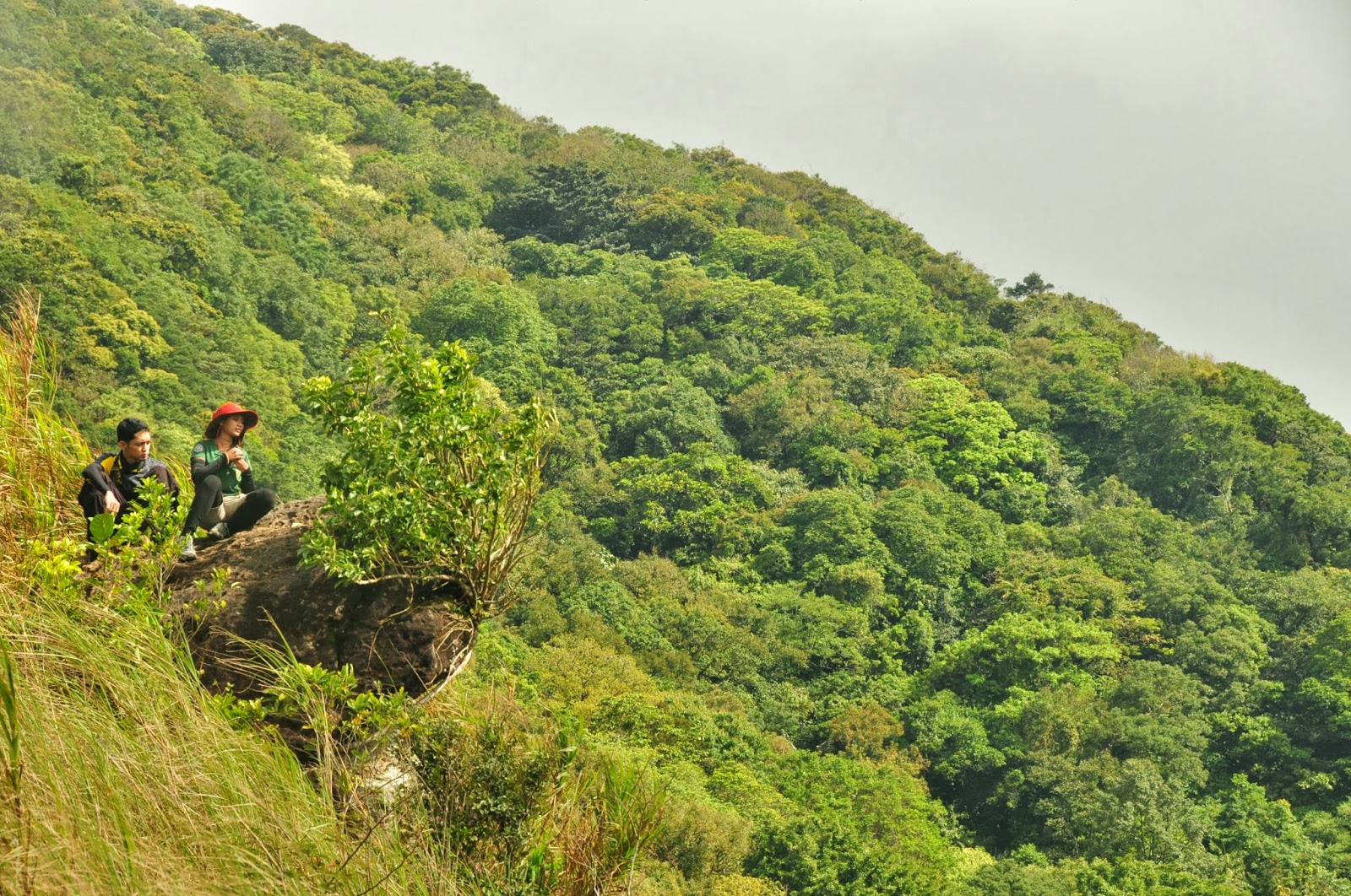 Enhinyerong Palaboy: Makiling Traverse (via Sipit Trail)