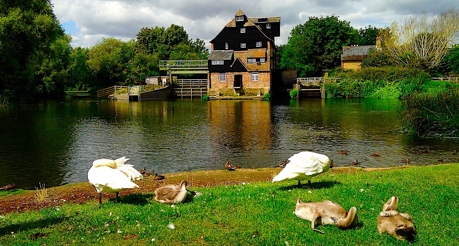 Cambridgeshire walks: St Ives to Hemingford Abbots