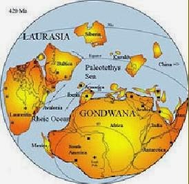 eras geologicas: eras geológicas
