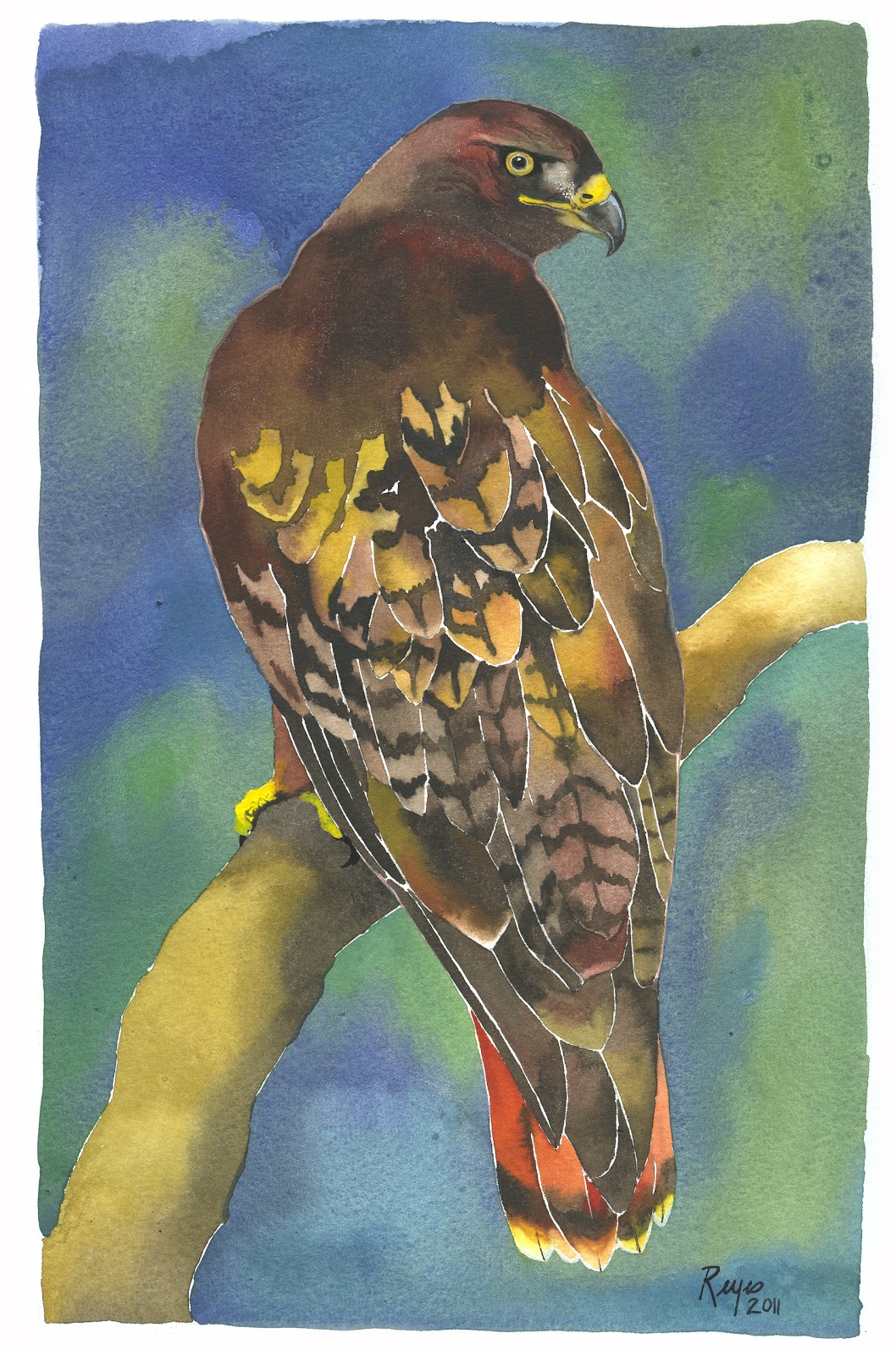 Wa ka ve?: hawk stamp artist