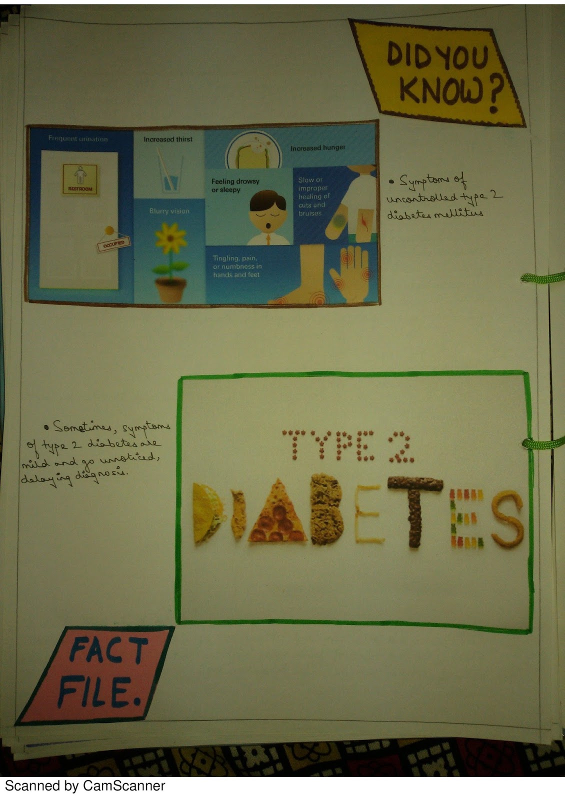 Class 12 SCIENCE Practical Readings and Projects: ISC Biology Project ...