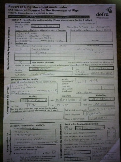 News from Nunnery Farm: Practical Pig Keeping for Beginners - Pig ...