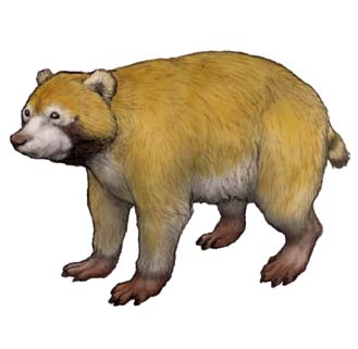 Los animales en la prehistoria: Animales prehistóricos con la letra C