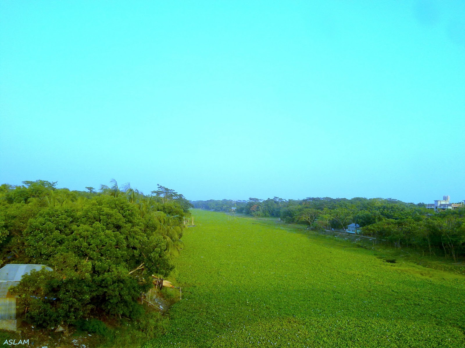 Photos of Nature: Nature Photography In Bangladesh