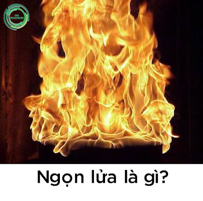 Ngọn lửa là gì? - 1000 Câu Hỏi Tại Sao