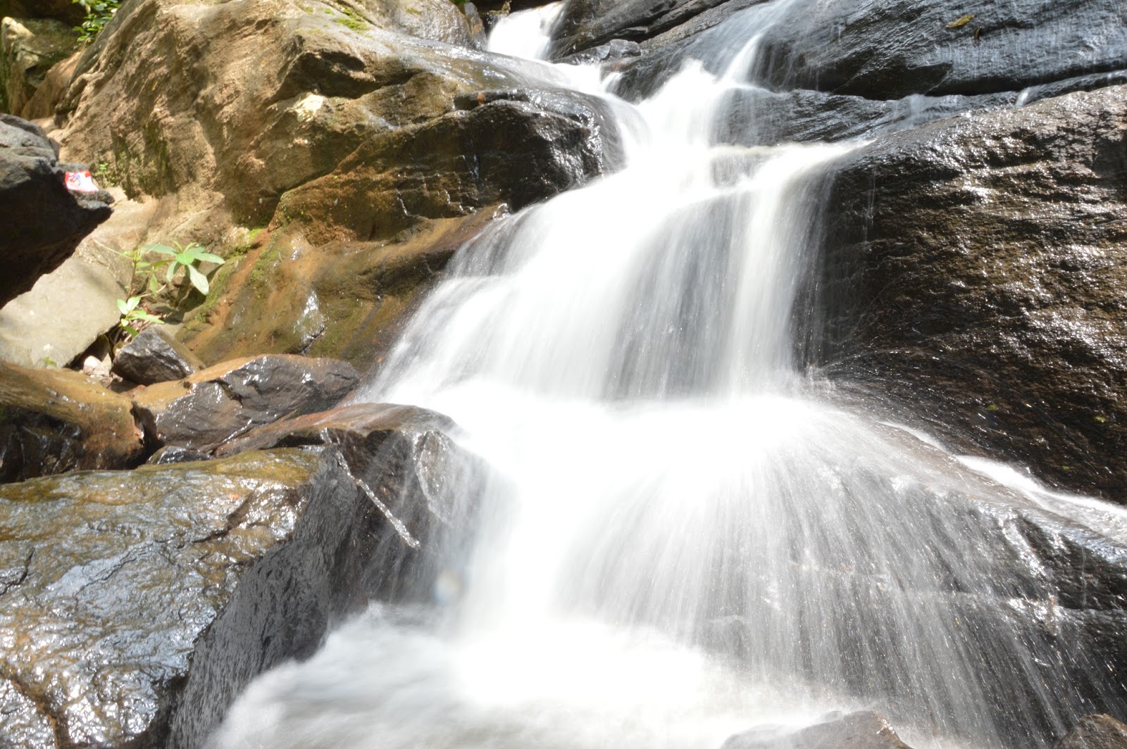Tamilnadu Tourism: Kiliyur Falls, Yercaud
