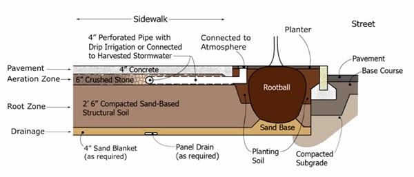 (a) biotic design studio: Reference Guide for Structural Soil