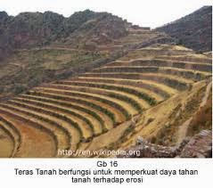 KACAMATA PENDIDIKAN: PERUBAHAN LINGKUNGAN DAN PENGARUHNYA ( IPA KELAS IV)