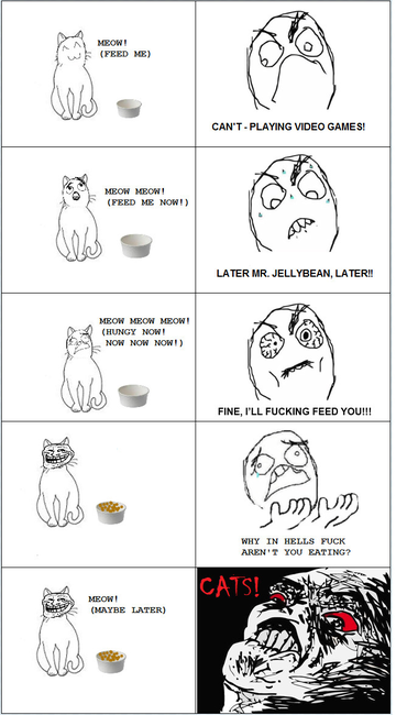 SCreamEnvyEBONY ♥: Lmao ` CATS