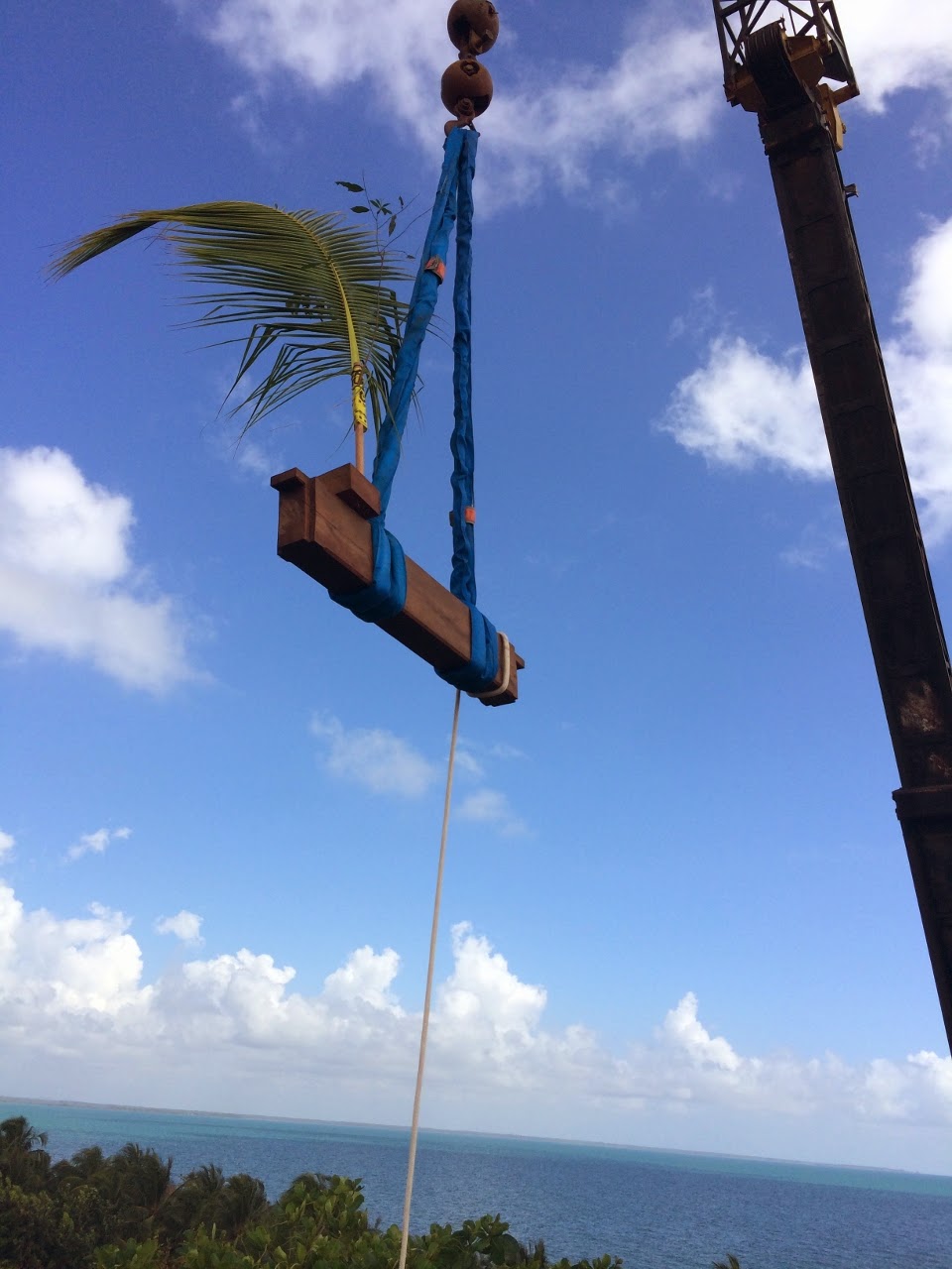 Timber Frame Design: International Timber Framing