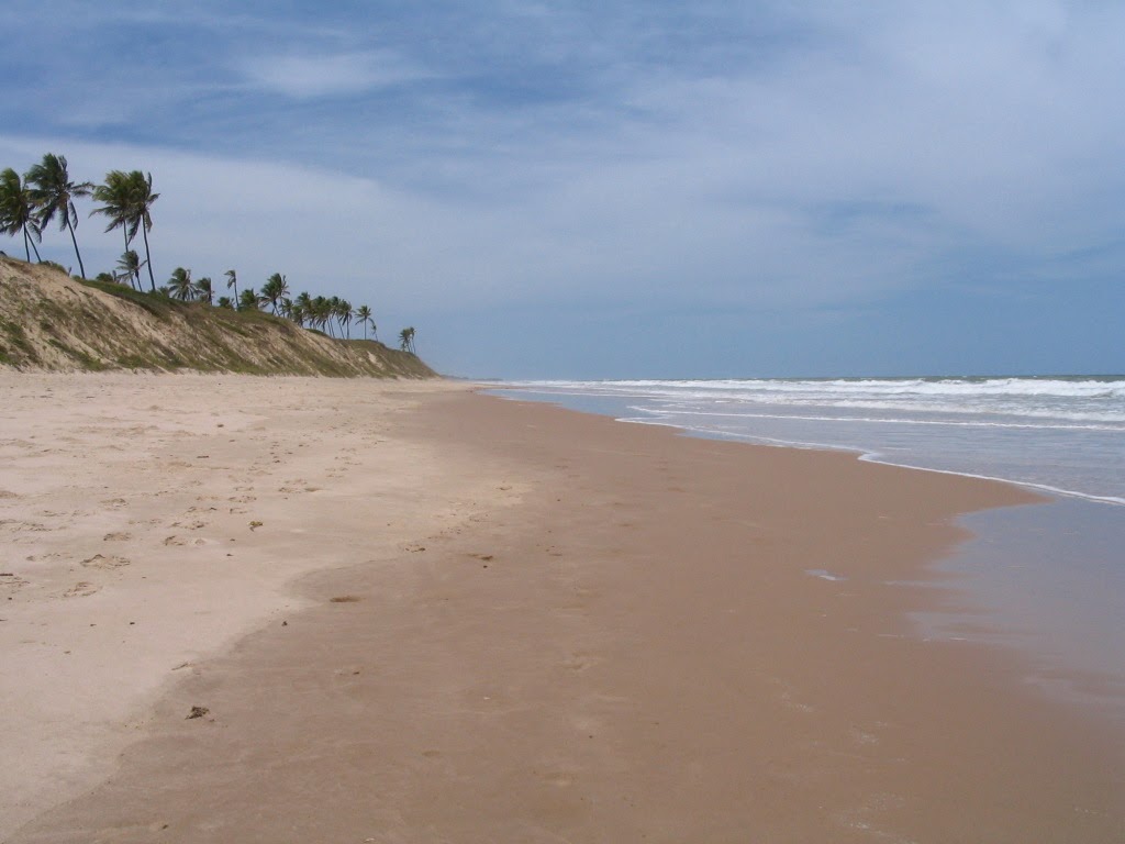 MEU SEGUNDO LAR: BAIXIO - LINHA VERDE/BAHIA