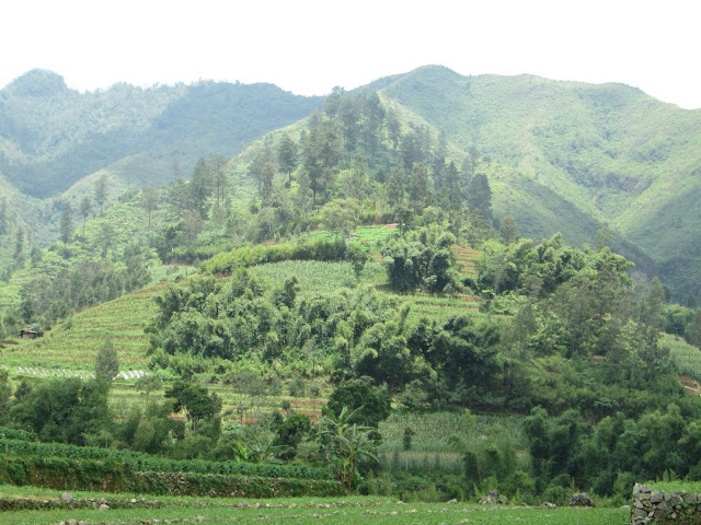 Wijaya Corporation: Gunung Prahu, Jawa Tengah Menjadi Taman Nasional