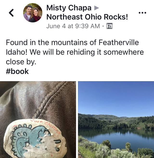 Northeast Ohio Rocks!: Northeast Ohio Rocks! in all 50 States Volume 5