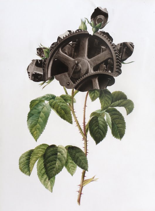 Dan Bina: Mechanical Botanical