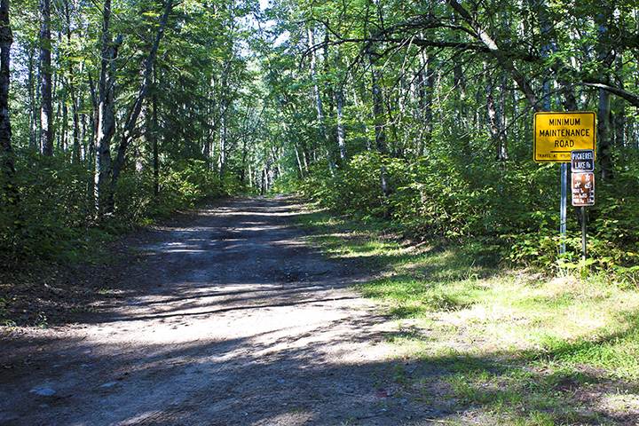 Fiddlin' Fifty Gravel Grinder