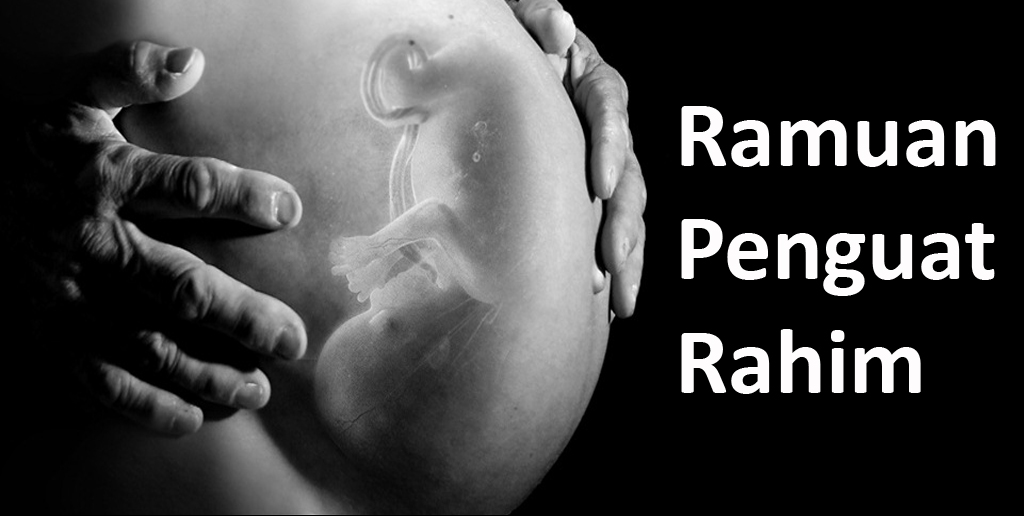 INILAH Resep Alami untuk Menguatkan Rahim! Begini Cara Membuatnya ...