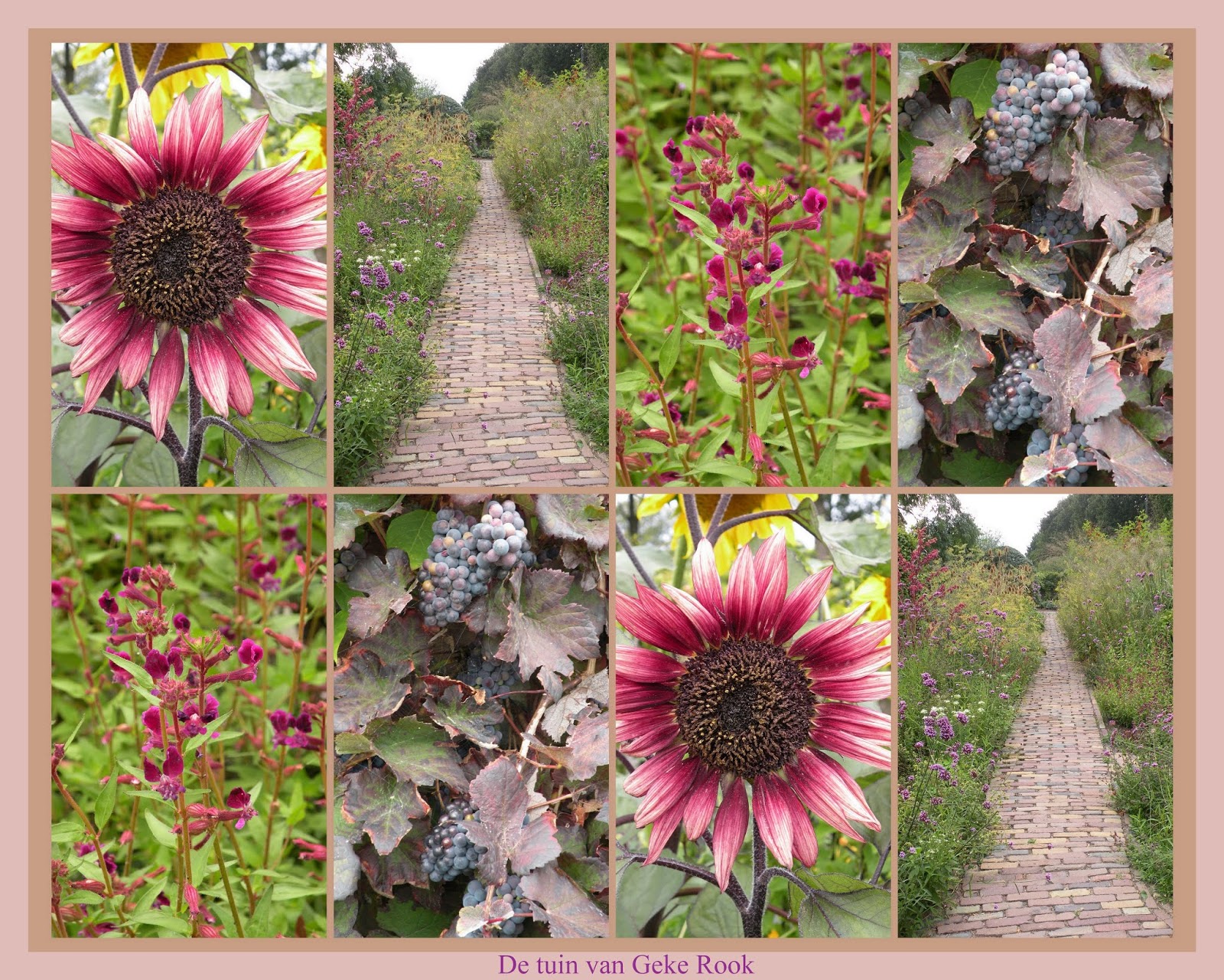 marieke nolsen: De tuin van Geke Rook in St. Jans Klooster