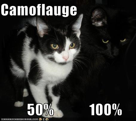 Funny Animals Camouflage | Amazing Creatures