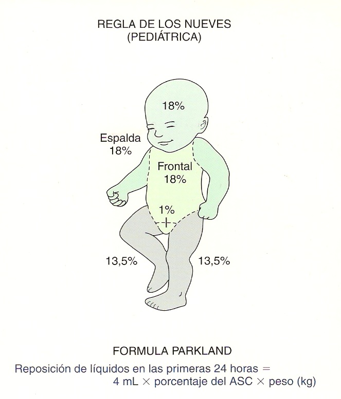 URGENCIAS Y EMERGENCIAS EXTRAHOSPITALARIAS: Cálculo de la superficie ...