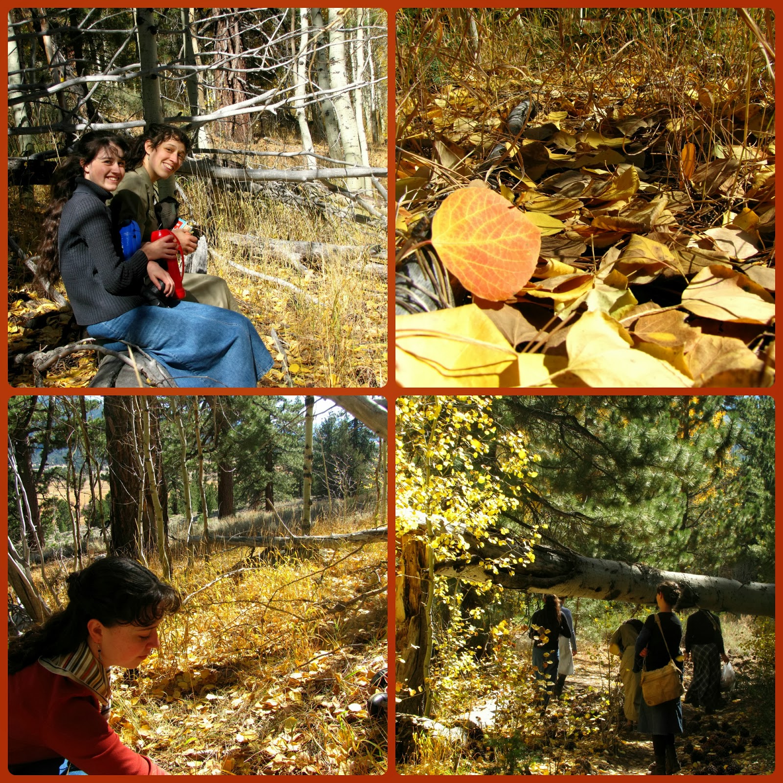 Melody Within: Autumn Outing